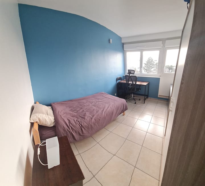 Chambre Avec Bureau - Vue Monts Du Lyonnais - Lyon