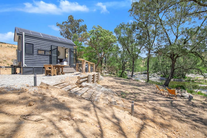 L'il Mindoo - Tenterfield