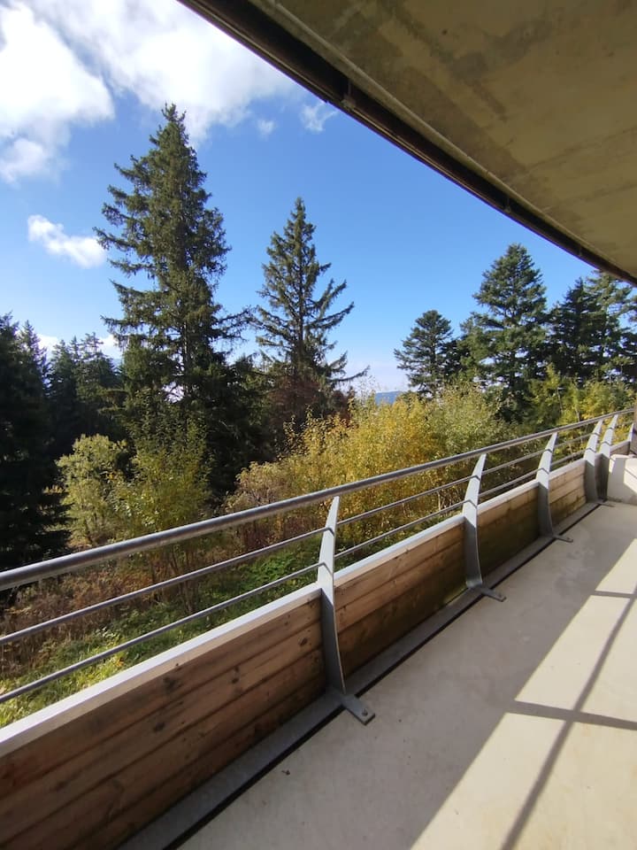 En C13~bel Appartement 2 Ch. Aux Pieds Des Pistes - Chamrousse