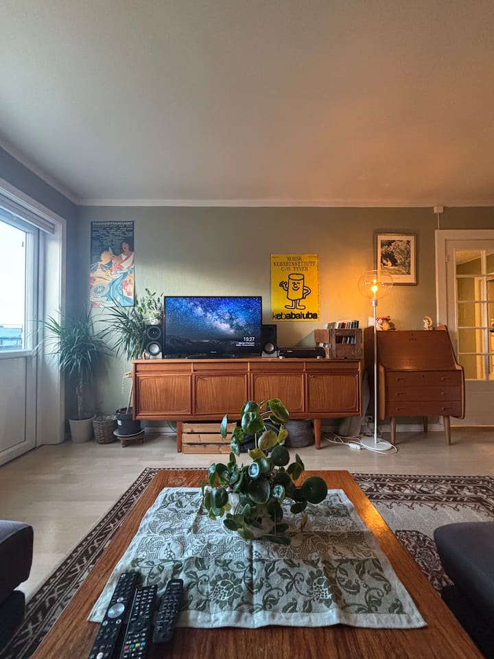 Koselig Leilighet I Trondheim - Trondheim