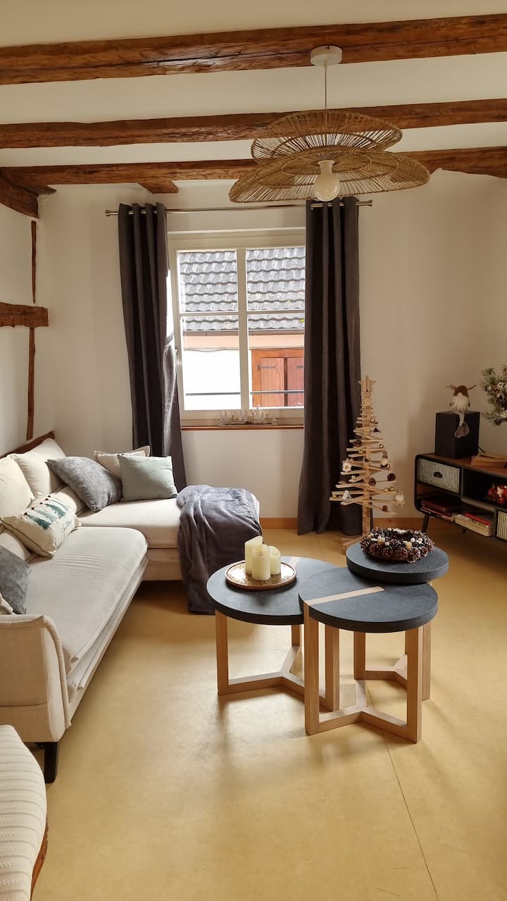 Gîte " Au Quart De Tour" – Entre Vignes Et Vosges - Munster, France