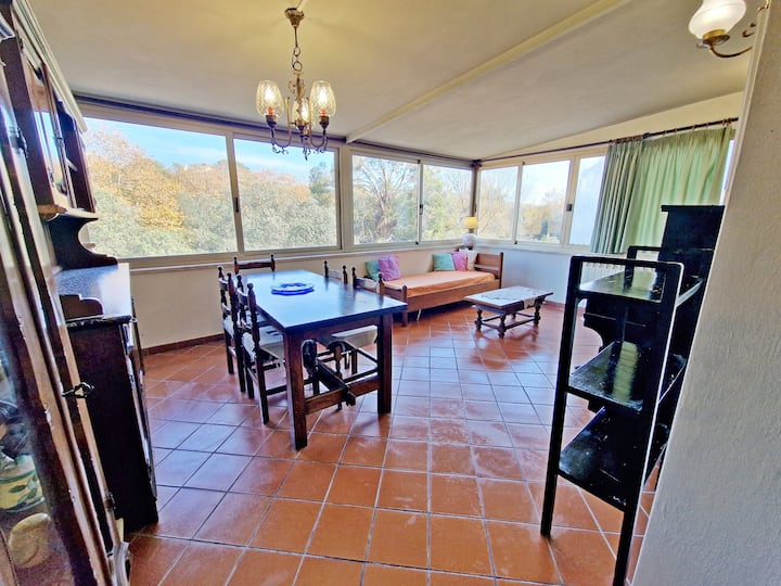 Attico Sapore Di Mare A 1 Minuto Dalla Passeggiata - Viareggio