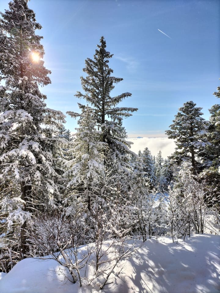 En C24~bel Appartement 2ch. Aux Pieds Des Pistes - Chamrousse