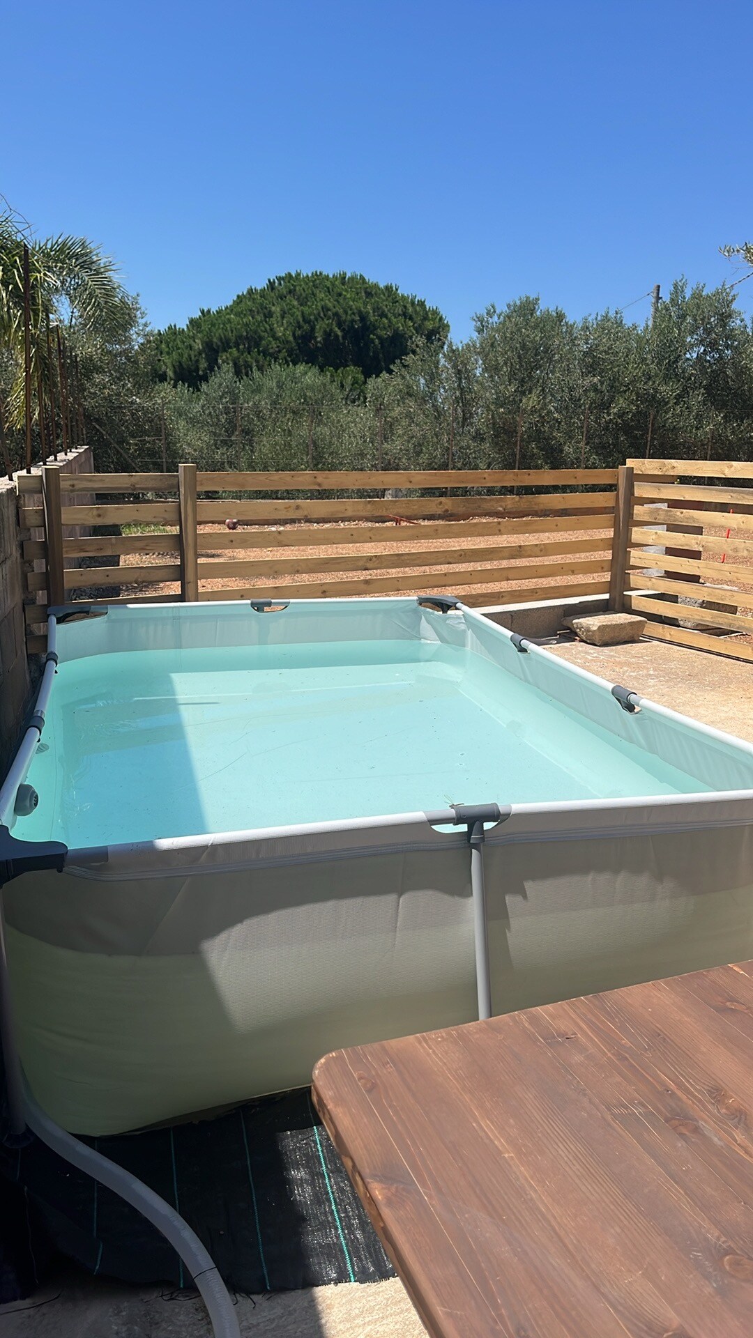 La Chicca di Milu' para los amantes de las mascotas - Casas en renta en ...