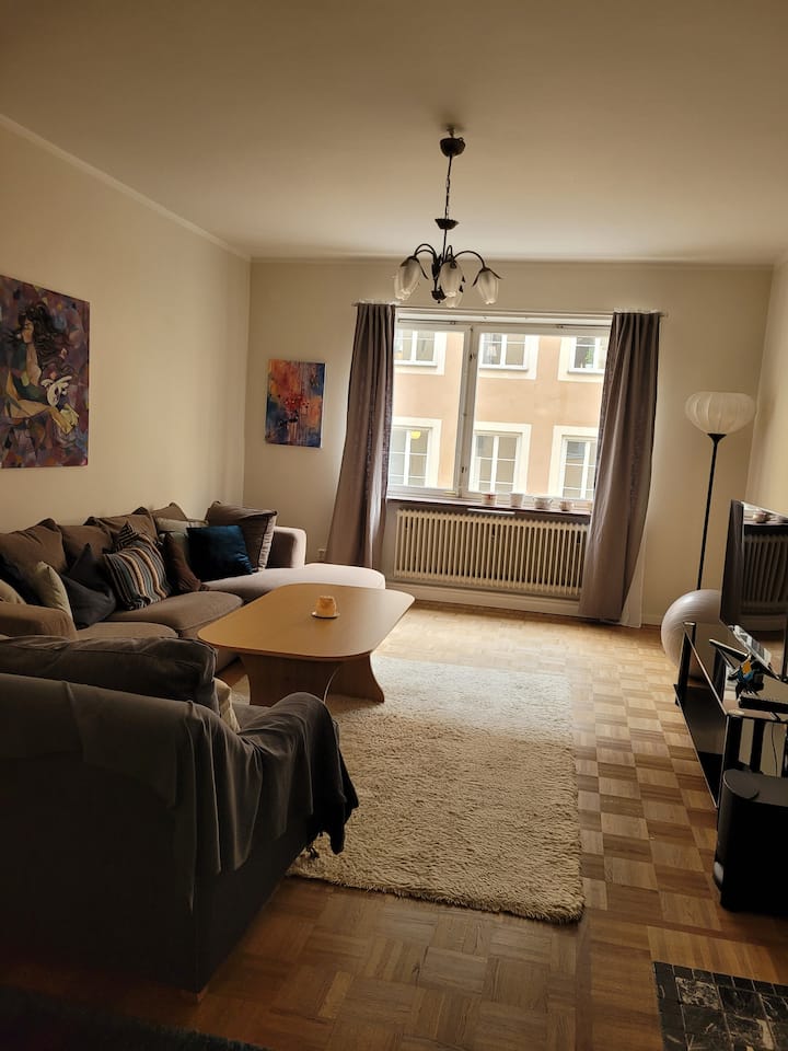 Spacious 3-bedrooms In City Centre - Stockholm