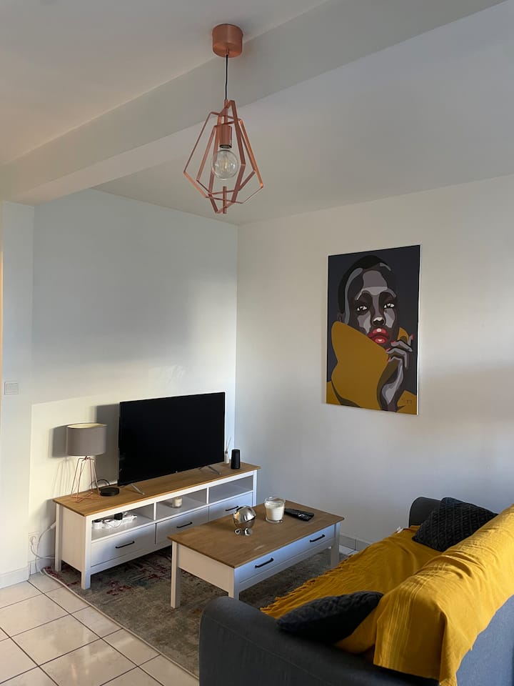 T2 Terrasse Proche Gare - Besançon