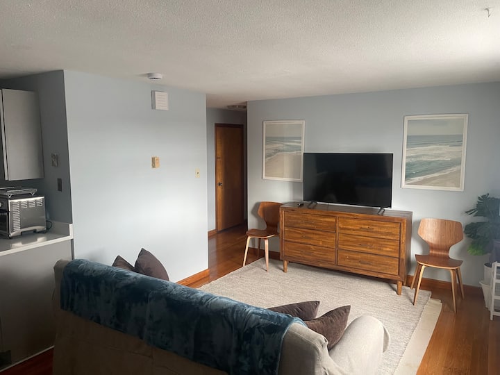 1 Bedroom + Sofa Bed + Parking - Revere, MA