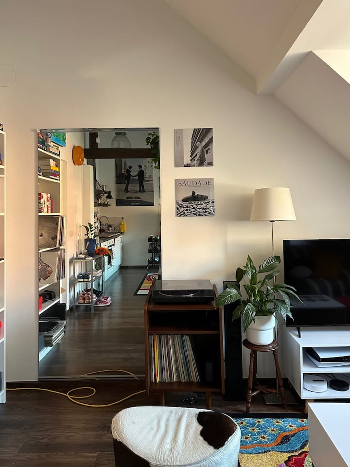 Charmant Cocon — 38 M² Avec Belle Hauteur - Schiltigheim