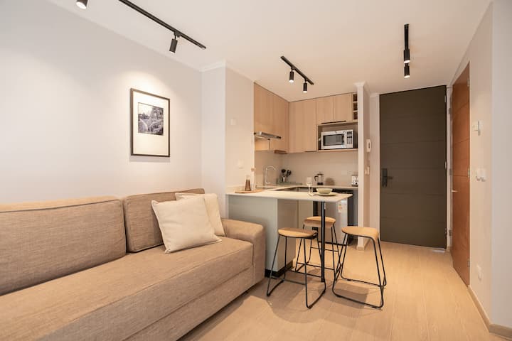 Renovado Y Cómodo Departamento En Providencia - Providencia
