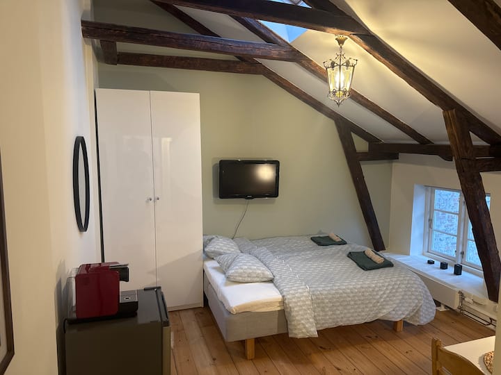 Charming Loft In The Heart Of Malmö’s Old Town - Lomma