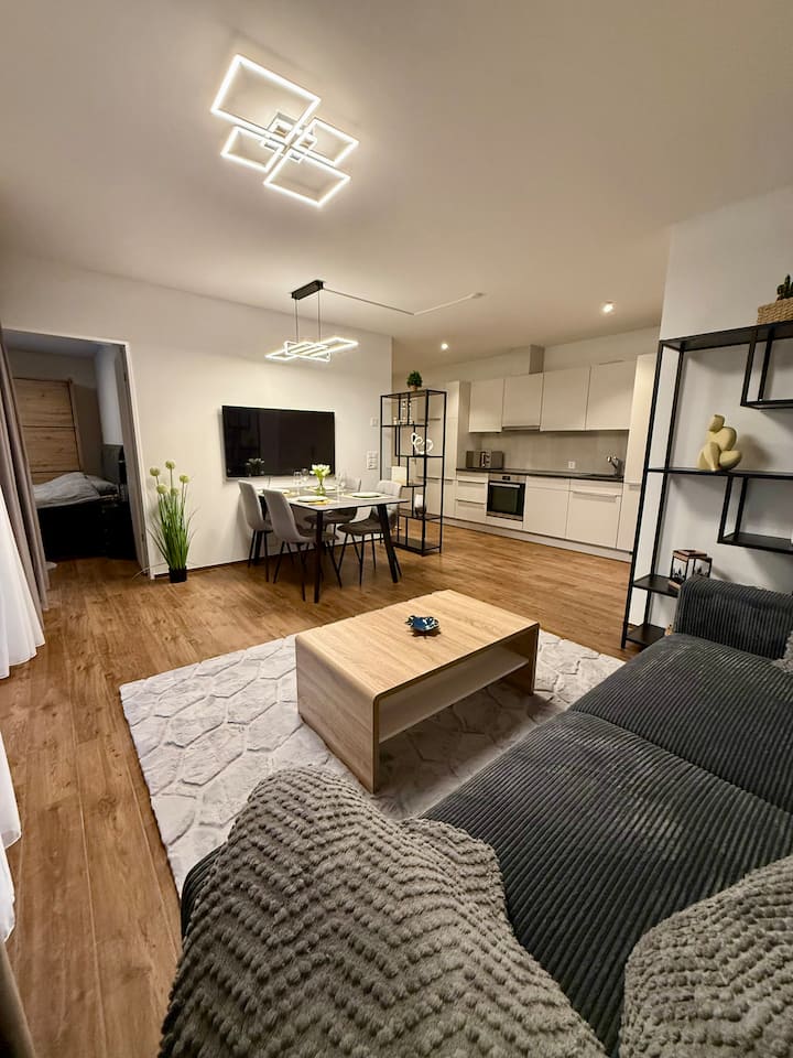 Möblierte Wohnung Mit Fitnessstudio Und Pool - Aarau