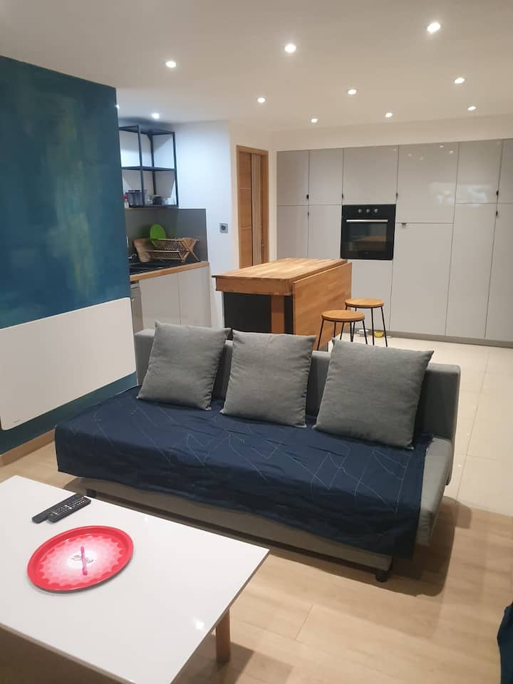 Bel Appartement En Rez-de-jardin - Saint-Priest