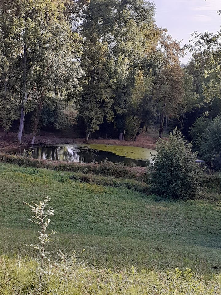 Tendre Escale Saisonnière - Casteljaloux