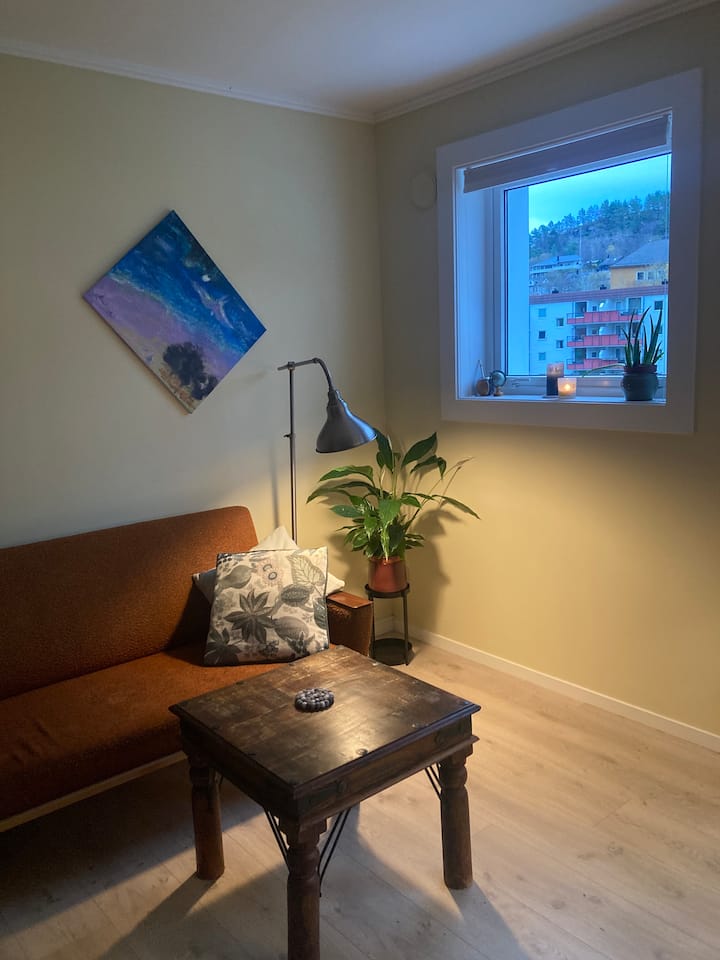 Koselig Studioleilighet - Bergen, Noruega