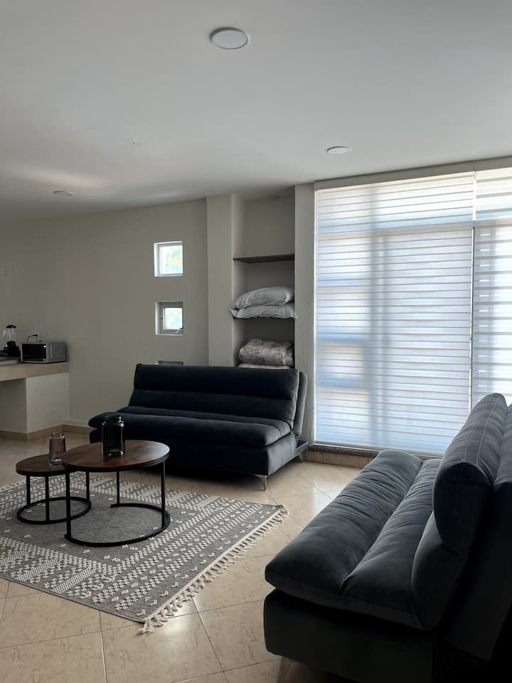 ¡Bello Departamento En El Centro De Purísima! - San Francisco del Rincón