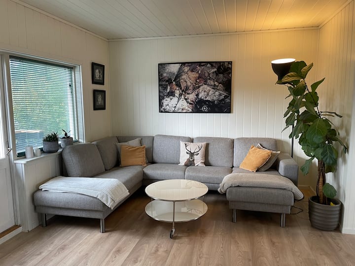 Halvpart Av Tomannsbolig, Sentralt I Steinkjer - Småland