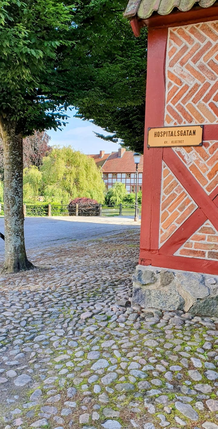 Unikt Och Centralt Läge Intill Klostret I Ystad. - Ystad
