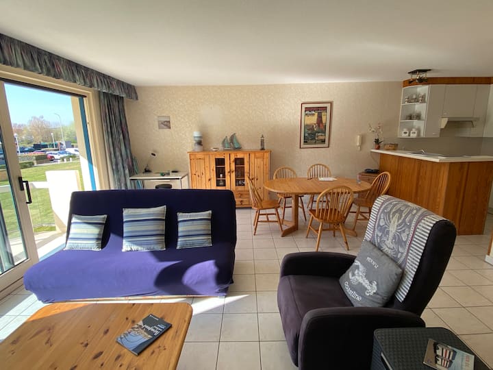 Grand Appartement Lumineux Avec Terrasse Plein Sud - Nieuwpoort