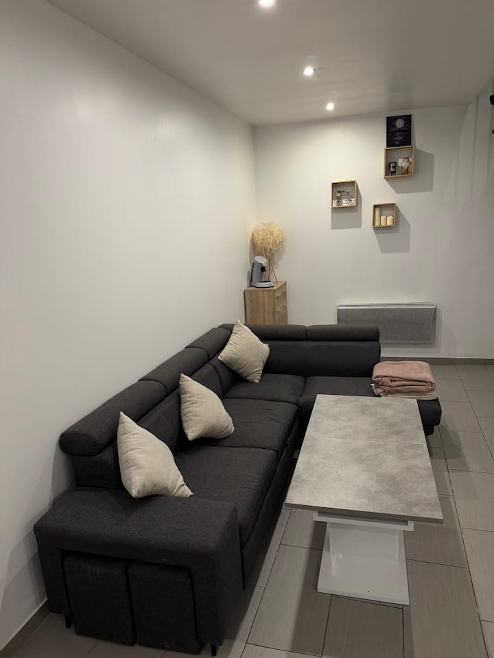 Appartement Chaleureux, Proche Gare Et Monuments - Ampuis