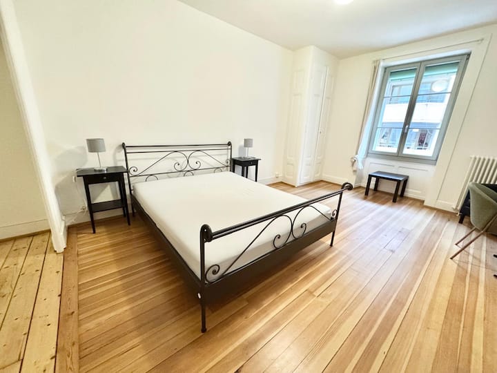 Elegant 2br Apartment For Long Stays - Genebra