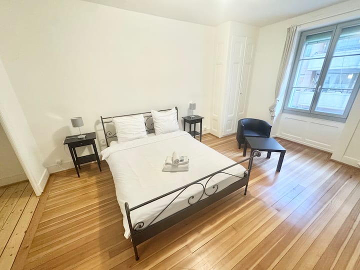 2br Apartment Genève-plainpalais Area - Genève