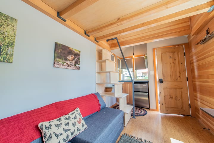 Park Creek Tiny Home - Pet Friendly - South Fork, CO