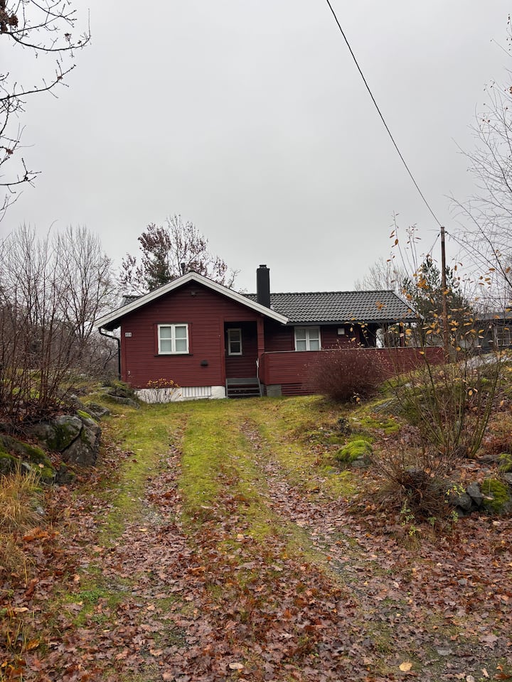 Trivelig Hytte - Langesund