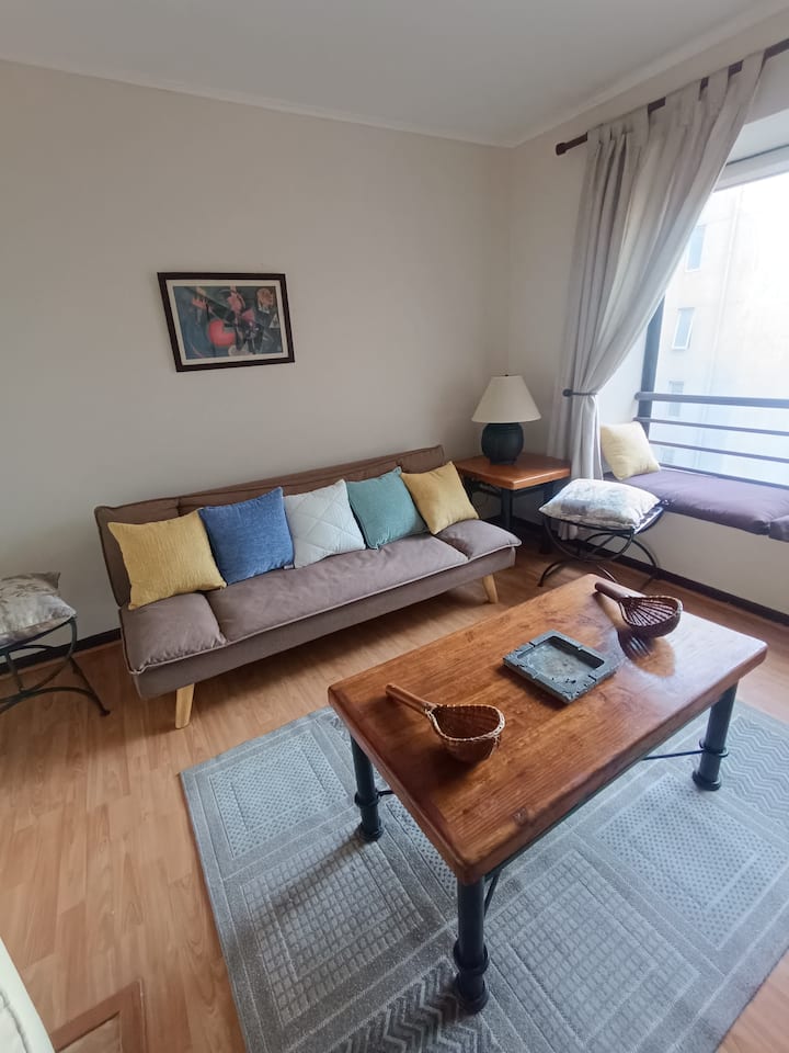 Departamento En Sector Museo Bellas Artes - Santiago