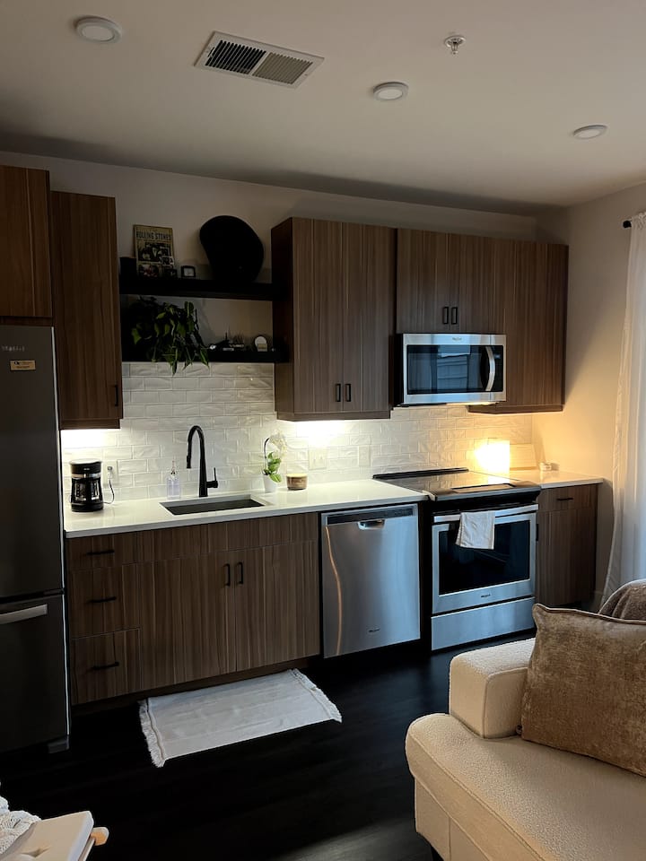 Luxury 1 Bedroom Apartment In Midtown Atlanta - Atlanta, GA