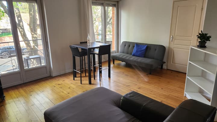 T3 Confort Spacieux - Parking - Hypercentre - Toulouse