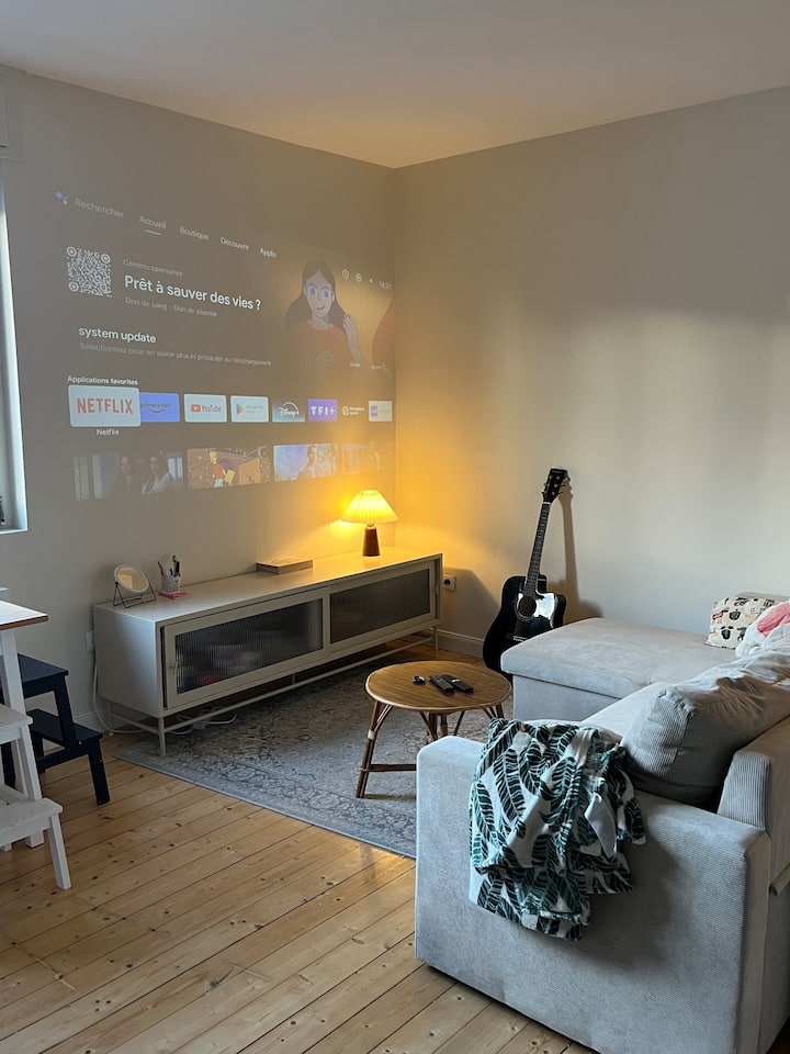 Charmant F2 Lumineux Dans Une Rue Calme. - Estrasburgo