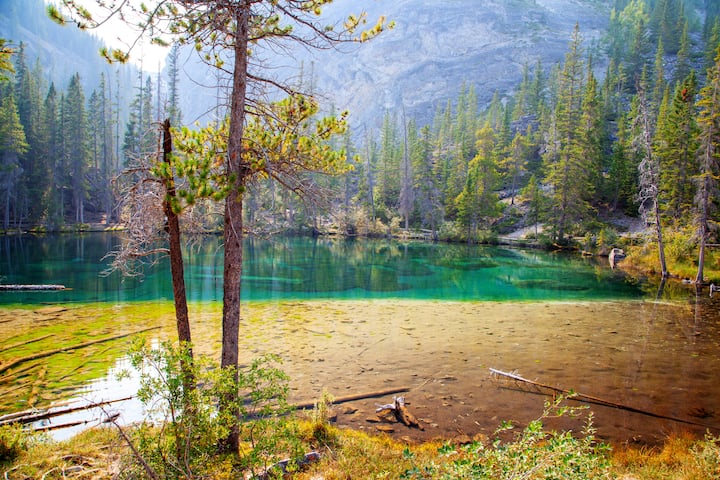 Hot Tubs+pool | Near Downtown | 25 Minutes > Banff - Canmore