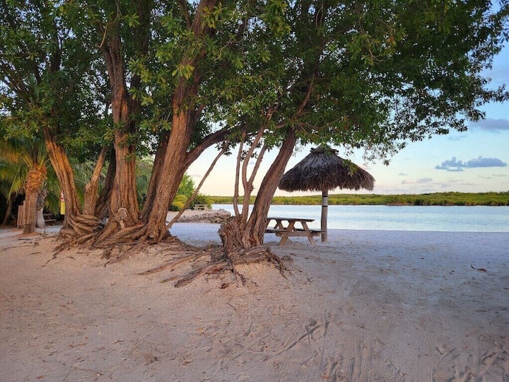 Beachfront Retreat W Pool, Boat Ramp & Dock Rental - Key Largo