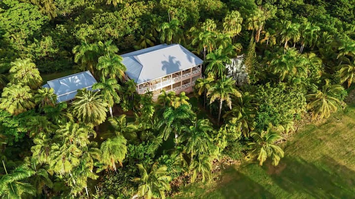 La Maison - Saint-Christophe-et-Niévès