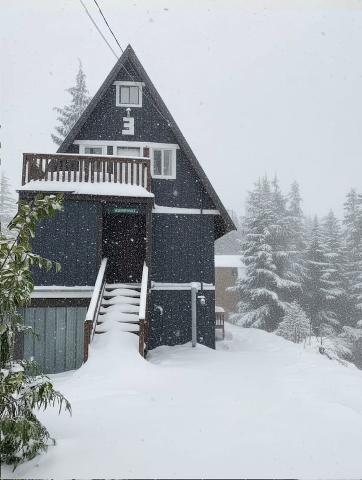 Saucerboy's Shack Mt Washington Bc - Mount Washington