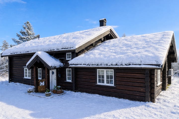 Stor Familiehytte På Gautefall Med Jacuzzi - Norway