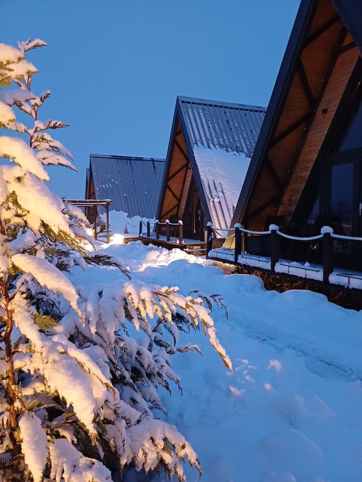 A Frame 1 Alba Iulia - Sebeș