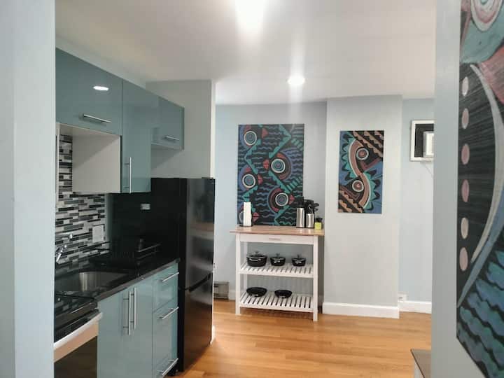 Modern 1br Apt., 3d Floor, Near T - Beacon Hill - Boston
