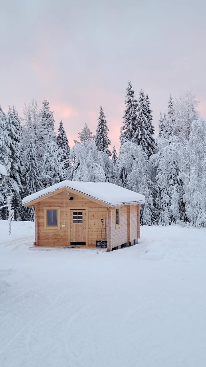 Stuga In Schwedisch Lappland - Malå