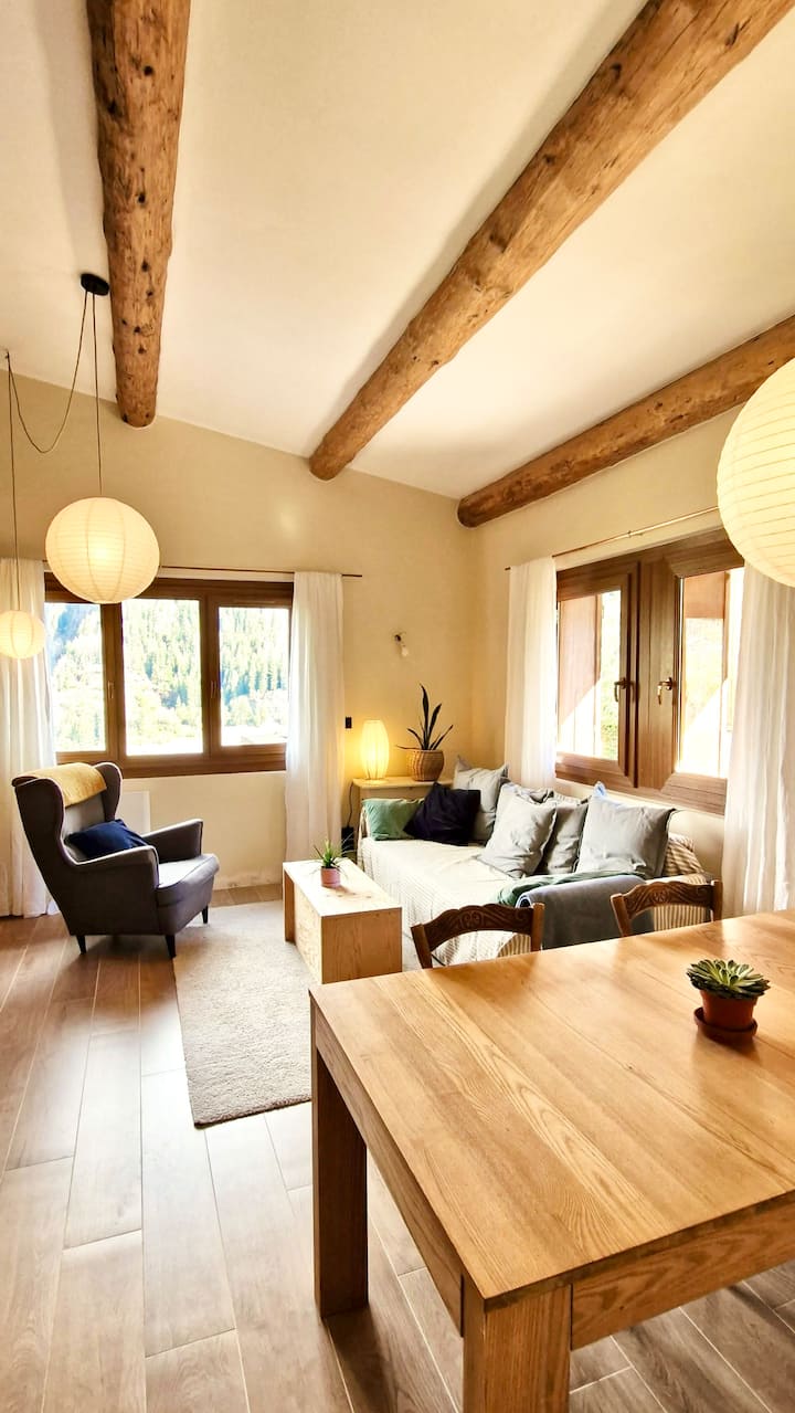 Cosy Bellevue + Extérieur, Ski Aux Houches - Les Houches
