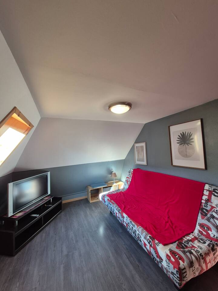 Petit Appartement 4em éTages Sous Combles, 4 Velux - Chambon-sur-Lac
