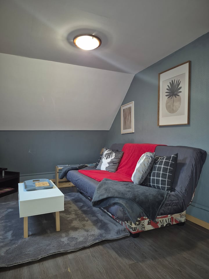 Charmant F2 Face Au Parc 4e éTages. Pour 2 Pers. - Puy de Sancy