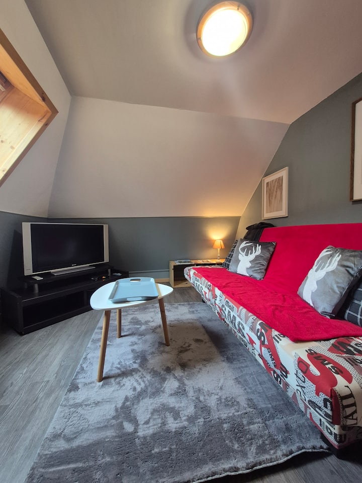 F2 Face Au Parc, 4e éTages Combles, 2 Personnes. - Puy de Sancy