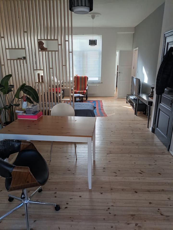 Appartement Calme Et Spacieux. - Schaarbeek