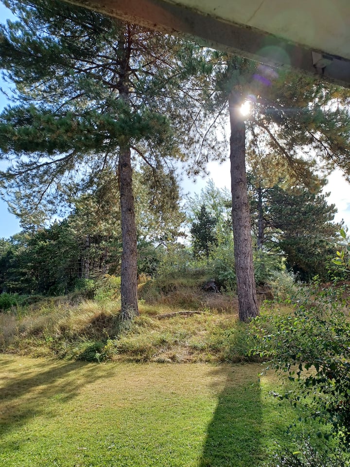 Appartement Belle Dune : Entre Lac, Mer Et Forêt - Fort-Mahon-Plage