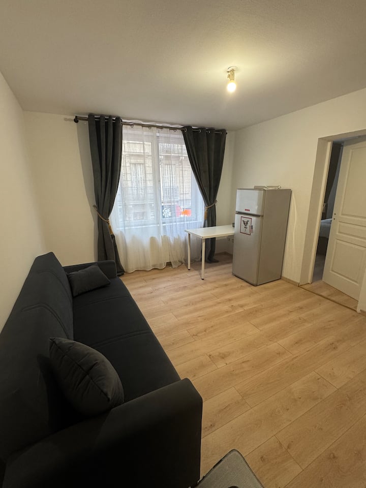 Appartement à 100m De La Gare&200m Du Centreville - ibis Strasbourg Aéroport Le Zénith