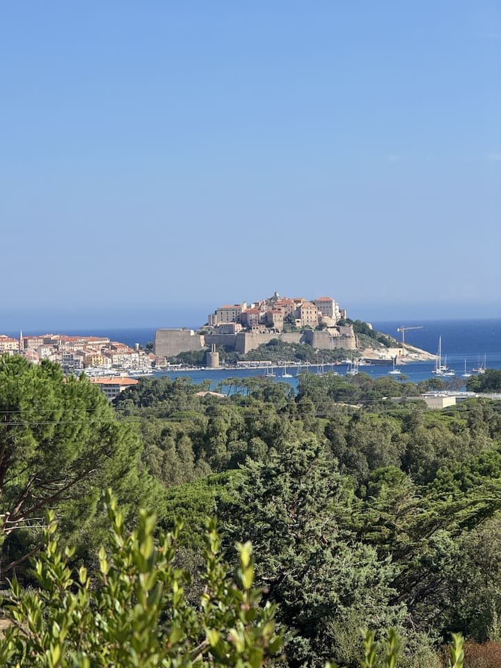Charmant T2 Calvi  Centre Avec Terrasse Privée - Calvi