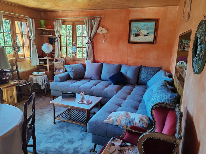 Chalet En Station Et à L'orée Des Bois. - Le Lioran (Super Lioran)