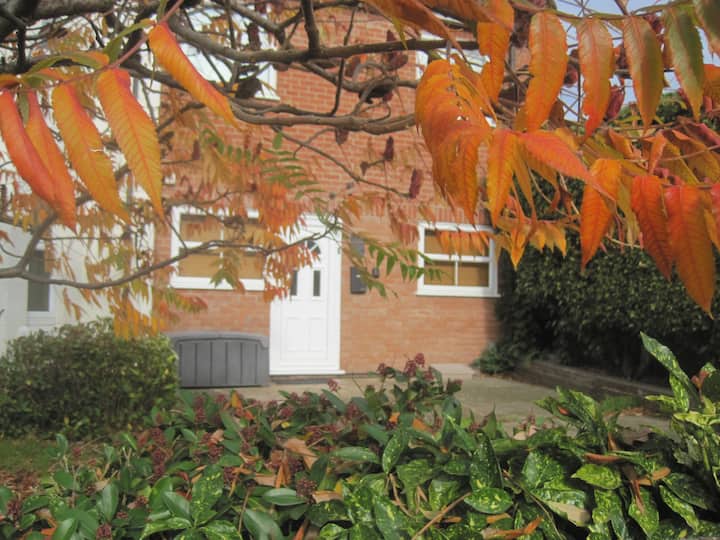 Spacious Annexe In Colchester - Colchester