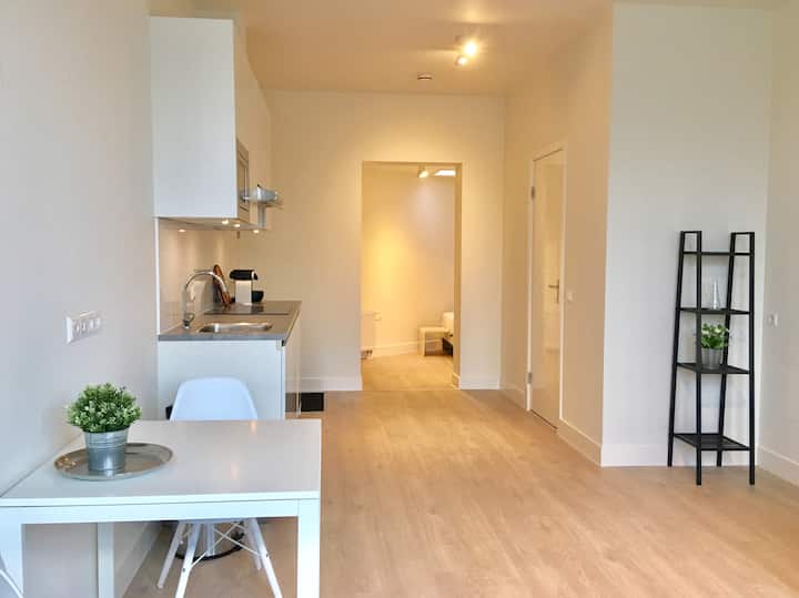Sfeervol Appartement Randje Centrum - Haarlem